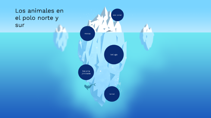 los animales en el polo norte y sur by Dennis Mautino on Prezi