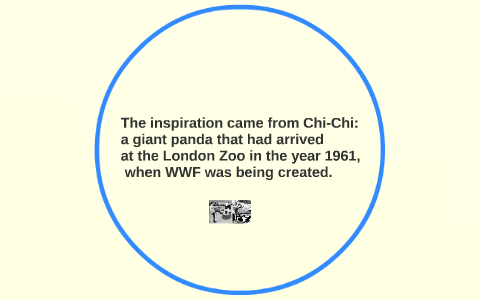 What is the story behind the panda logo of WWF? by João Loureiro on Prezi