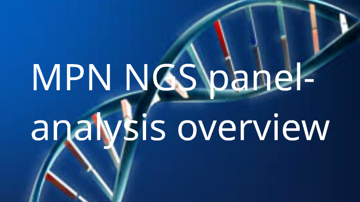 MPN panel-analysis overview by Anna Skowronska on Prezi