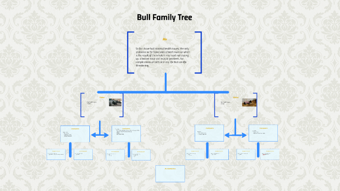 Bull Family Tree by Josh Bull on Prezi