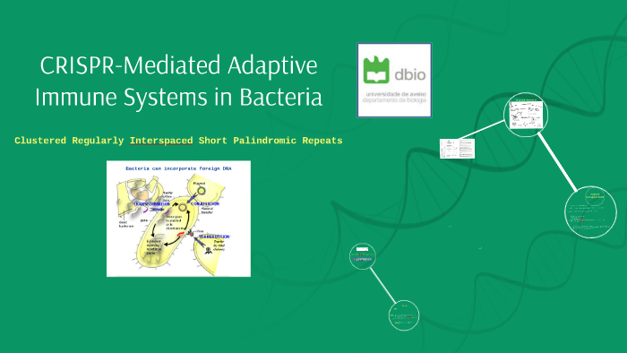 CRISPR-Mediated Adaptive Immune Systems in Bacteria by Bruno Campino on ...