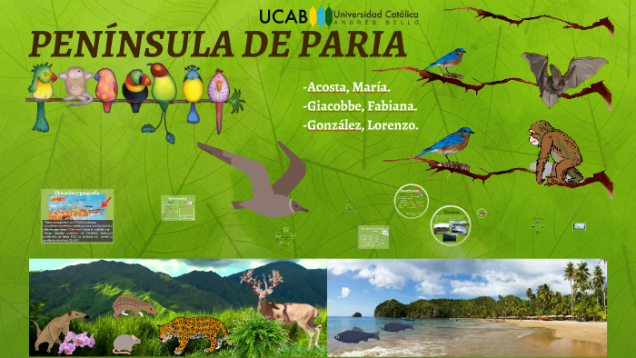 PENÍNSULA DE PARIA by Maria Alejandra Acosta on Prezi