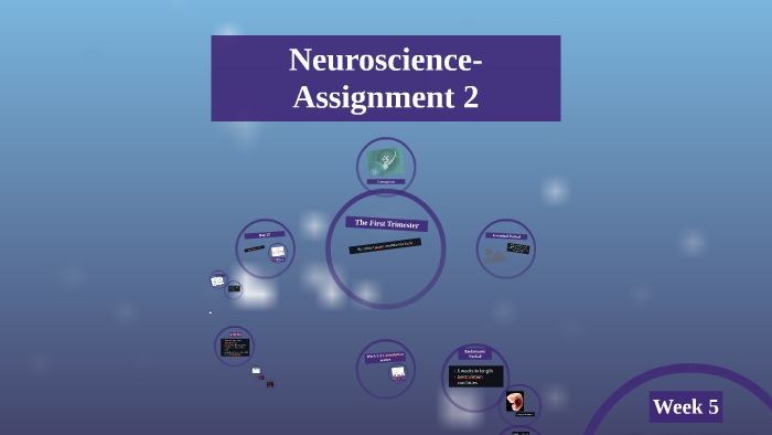 Neuro Assignment 2 - Olivia and Monica by Olivia Devoti on Prezi