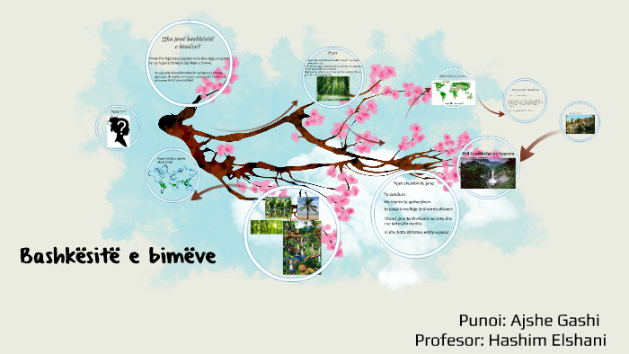 Bashkësitë e bimëve by ajshe gashi on Prezi