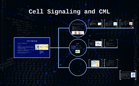 Cell Signaling and CML by Matthew Delagdo on Prezi