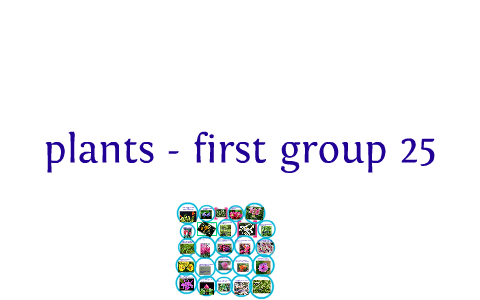 Floriculture Plant Identification List by Rebecca Turley on Prezi