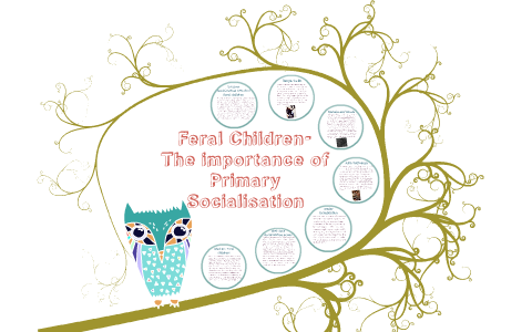 Feral Children Sociology