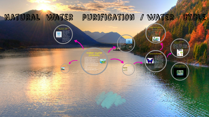 Natural water purification/ water cycle by madison combs on Prezi