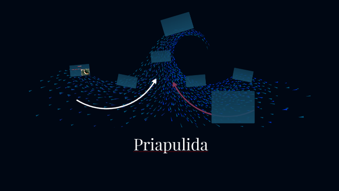 Priapulida is a phylum of marine worms. by Hannah Duby on Prezi