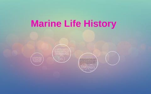 Marine Lyfe History by Katie Brendel on Prezi