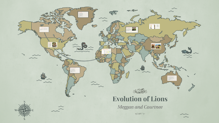 The Evolution of Lions: by meggan mott on Prezi