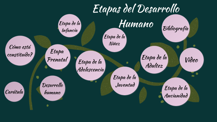 Etapas Del Desarrollo Humano Psicologia Pptx - Infoupdate.org