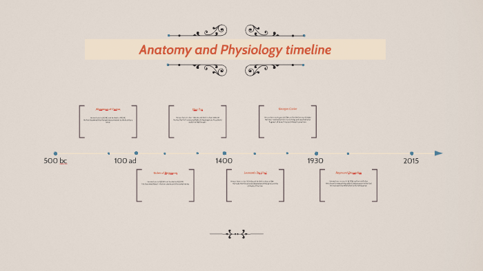 Anatomy and Physiology timeline by Lawson St on Prezi