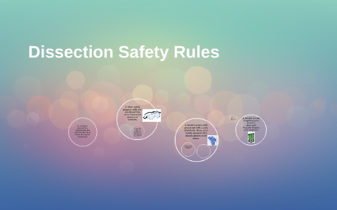 Dissection Safety Rules by Jennifer Allen on Prezi