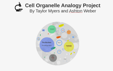 Cell Organelle Analogy Project by Taylor Myers on Prezi