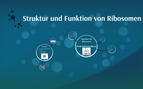 Struktur und Funktion von Ribosomen by SoLa JoLa on Prezi