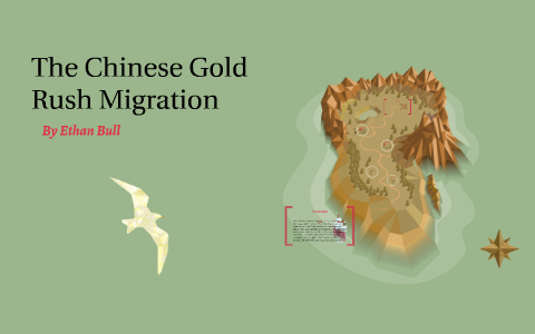 The Chinese Gold Rush Migration by Ethan Bull on Prezi