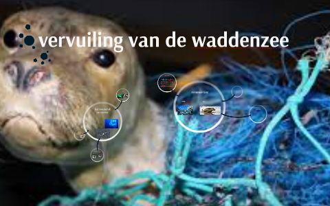 vervuiling van de waddenzee by on Prezi