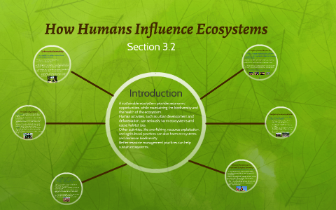 How Humans Influence Ecosystems by Ryan MacDonald on Prezi