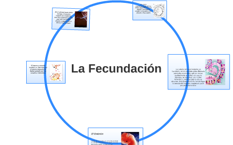 La Fecundación by Yaritza Ferreira on Prezi