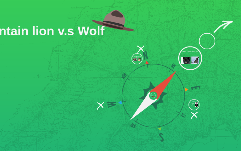 Jonathan's Mountain Lion vs Wolf by Adrienne Bonner on Prezi