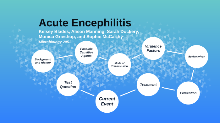 Acute Encephilitis by Sarah Dockery on Prezi
