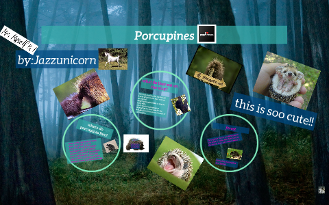 poucupines by Lorie Peralez on Prezi