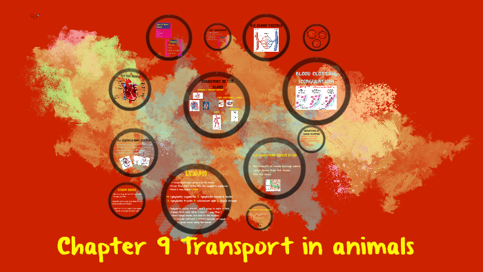 Chapter 9 Transport in animals by Natasha Chan on Prezi