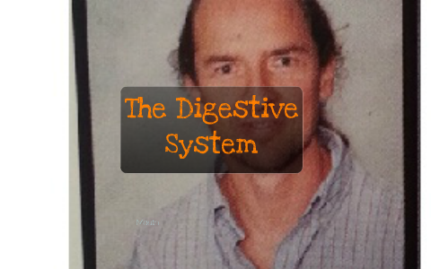 Bio12: Digestive System by Arianne A on Prezi