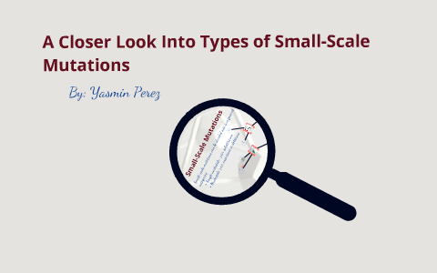 Small-Scale Mutations by Yasmin Perez on Prezi