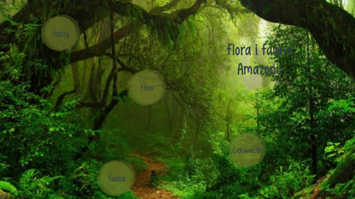 Flora i fauna Amazonii by Zofia Midor on Prezi