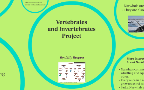 Invertebrates And Vertebrates Venn Diagram