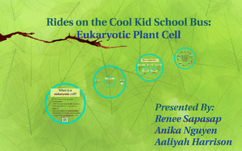 Adventures With the Cool Kids: Plant Cells by reneeee naaavato on Prezi