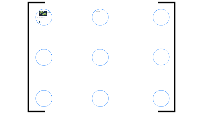 Kingdom by Ethan Stockwell on Prezi