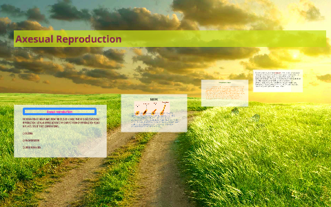Axesual Reproduction by on Prezi