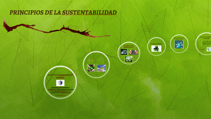 PRINCIPIOS DE LA SUSTENTABILIDAD by ciara jimene suarez on Prezi