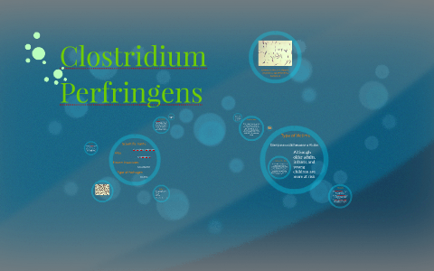 Clostridium Perfringens by robin zuercher on Prezi