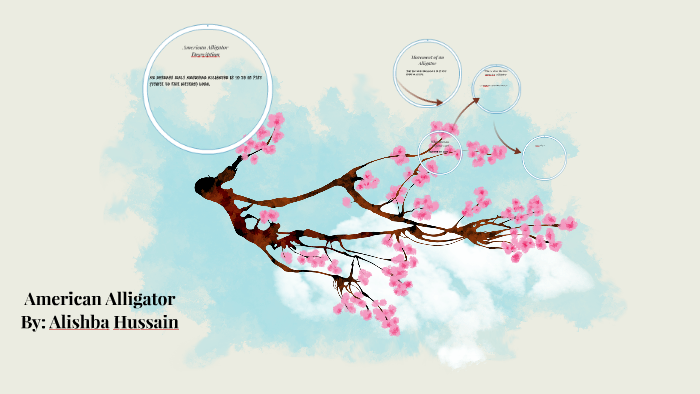 America Alligator by Mrs. Bonk on Prezi