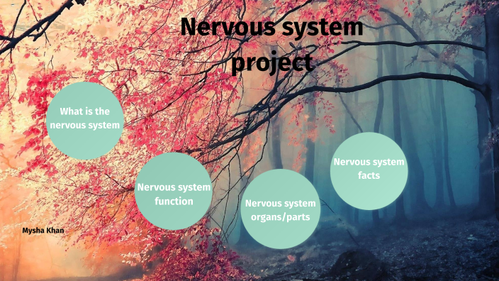 Mysha's Bio body system project by Mysha Khan on Prezi