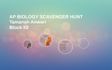 AP BIOLOGY SCAVENGER HUNT by tami w