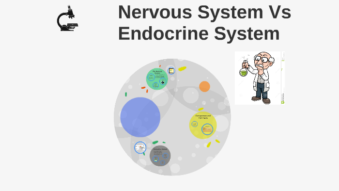 Nervous System Vs Endocrine System by Abinaya Balaji on Prezi