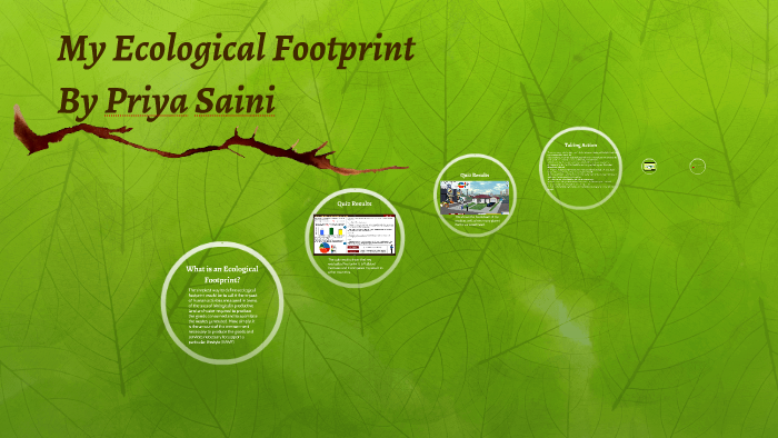 My Ecological Footprint by pr an on Prezi
