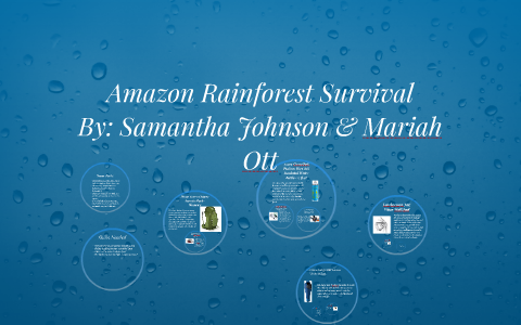 Amazon Rainforest Survival by Mariah Ott