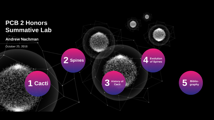 Evolution of Spines in Cacti by Andrew Nachman on Prezi