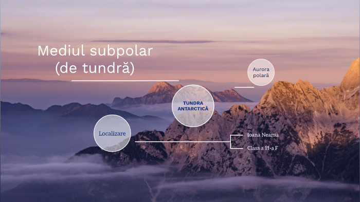Mediul subpolar (de tundră) by ioana neamu on Prezi