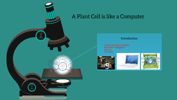 Plant Cell Compared to a Computer by Daniel Jackson on Prezi