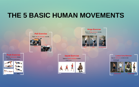 5 BASIC HUMAN MOVEMENTS by Alexis Dolinski on Prezi