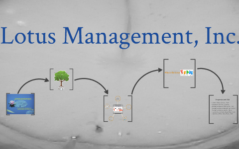 Lotus Management, Inc. by pratima patel on Prezi