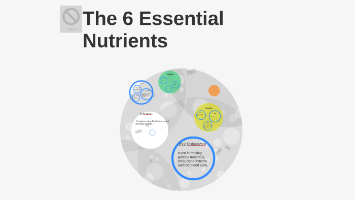 The 6 Essential Nutrients. by courtney coleman on Prezi