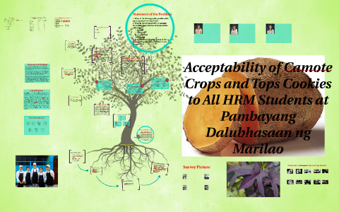 Acceptability of Camote Crops and Tops Cookies to All HRM St by on Prezi